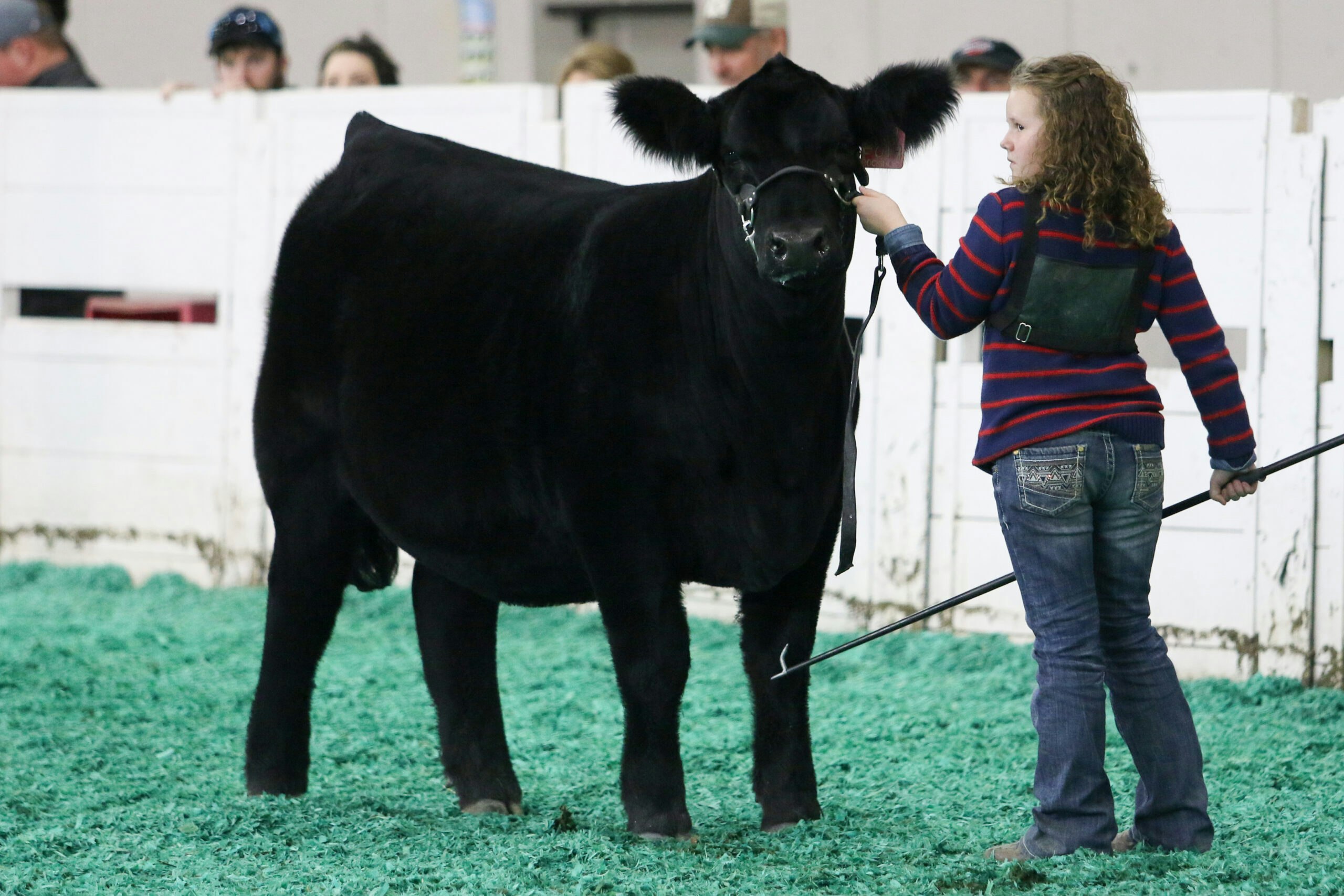 North American International Livestock Exposition